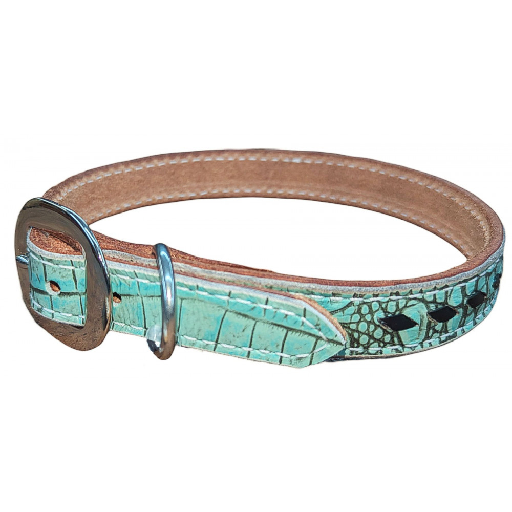 TURQUOISE GATOR / BLACK LACE DOG COLLAR